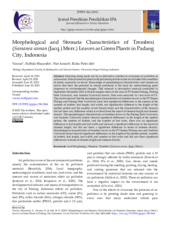 (PDF) Morphological and Stomata Characteristics of Trembesi (Samanea ...