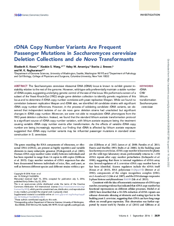 (PDF) rDNA Copy Number Variants Are Frequent Passenger Mutations in S ...