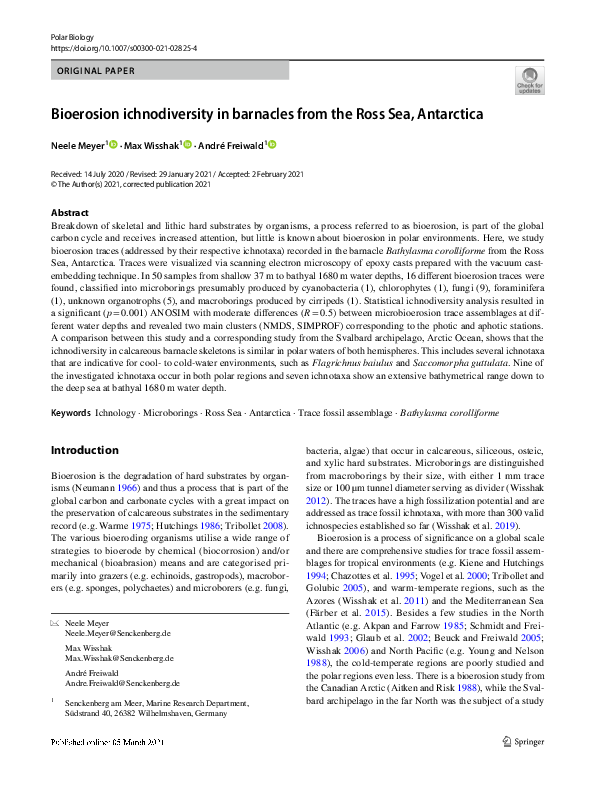 (PDF) Bioerosion ichnodiversity in barnacles from the Ross Sea, Antarctica