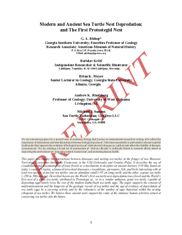 (PDF) Modern and Ancient Sea Turtle Nest Depredation; and The First ...