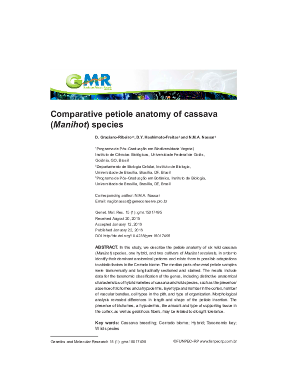 (PDF) Comparative petiole anatomy of cassava (Manihot) species