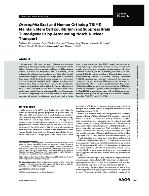 (PDF) Drosophila Brat and Human Ortholog TRIM3 Maintain Stem Cell ...