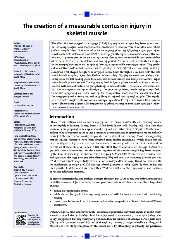 (PDF) The creation of a measurable contusion injury in skeletal muscle ...