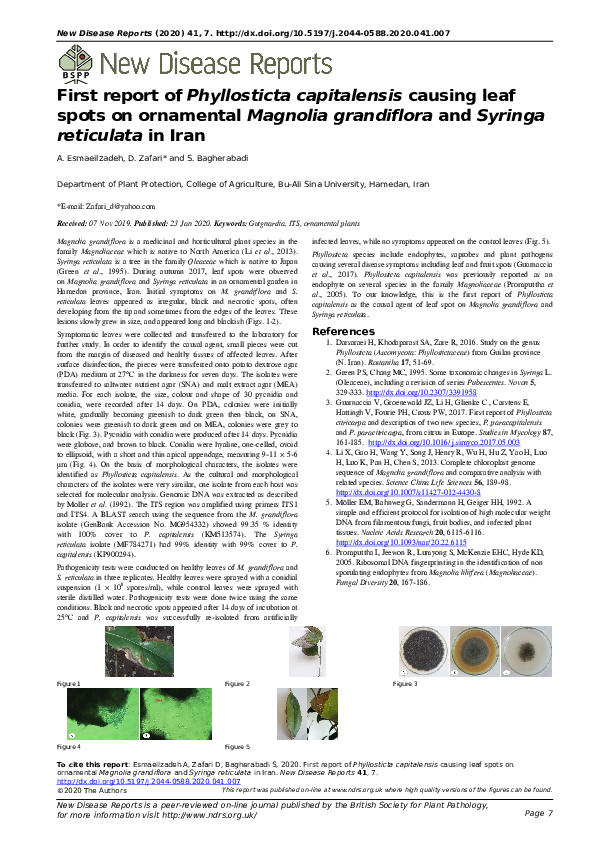 (PDF) First report of Phyllosticta capitalensis causing leaf spots on ...