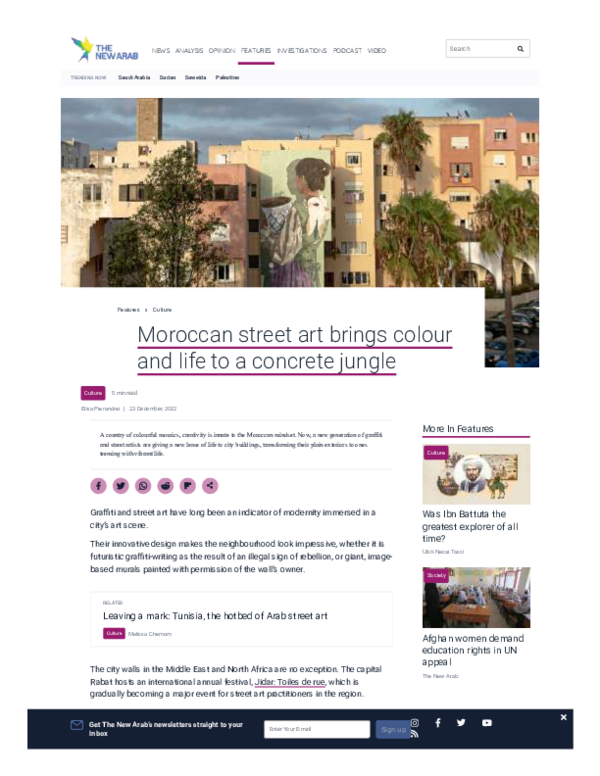 (PDF) Feature : Moroccan street art brings colour and life to a ...