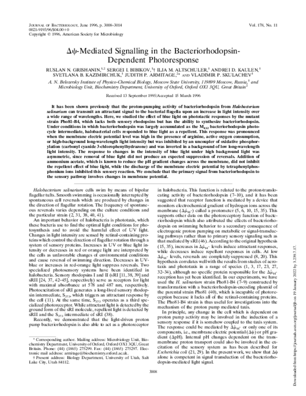 (PDF) These include