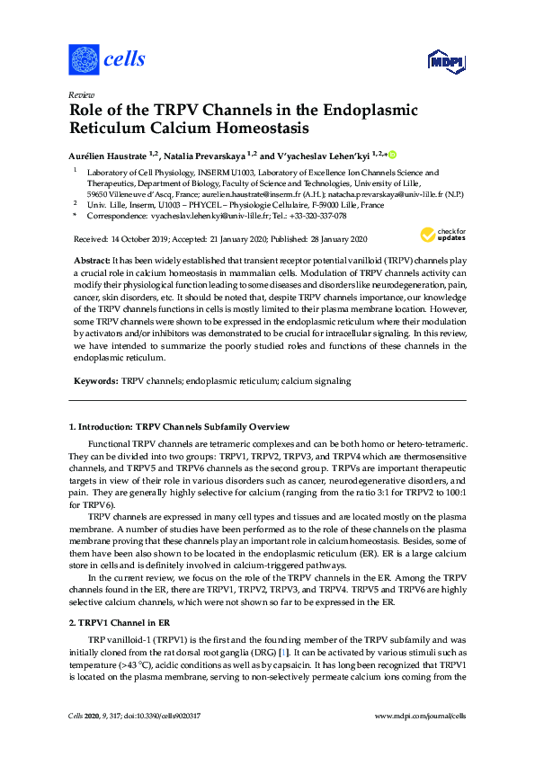 (PDF) Role of the TRPV Channels in the Endoplasmic Reticulum Calcium ...