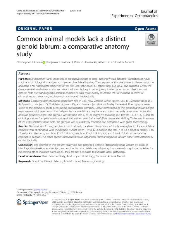 (PDF) Common animal models lack a distinct glenoid labrum: a ...