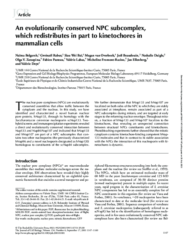 (PDF) An evolutionarily conserved NPC subcomplex, which redistributes ...