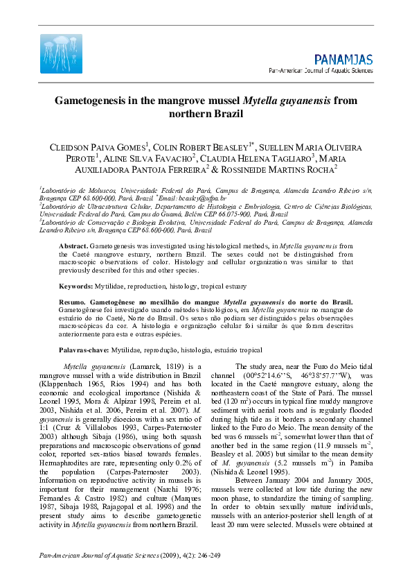 (PDF) Gametogenesis in the mangrove mussel Mytella guyanensis from ...