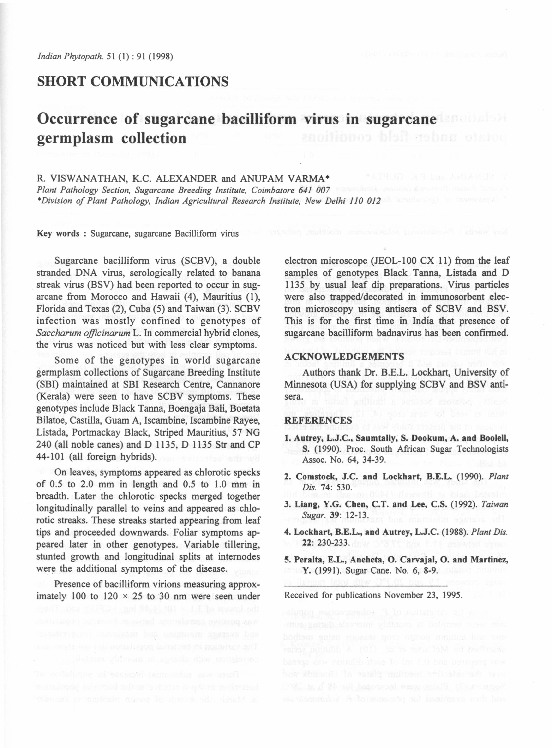 (PDF) Occurrence of sugarcane bacilliform virus in sugarcane germplasm ...