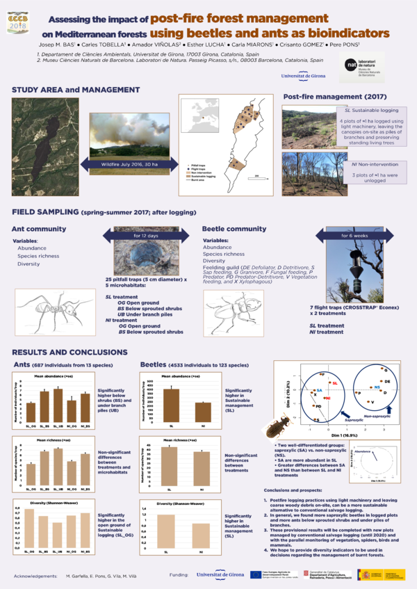 (PDF) Assessing the impact of post-fire forest management using beetles ...