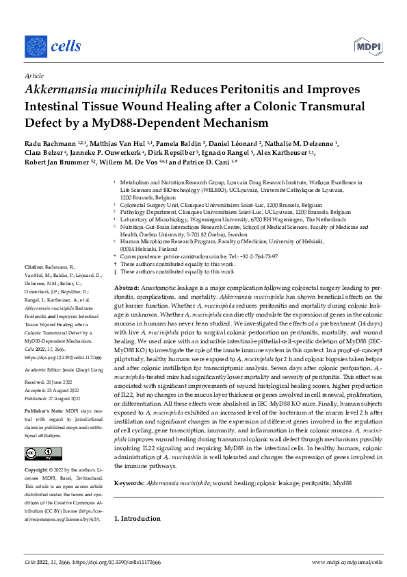 Akkermansia muciniphila Reduces Peritonitis and Improves Intestinal ...