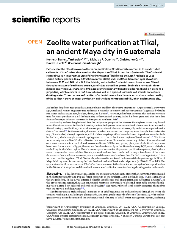 (PDF) Zeolite water purification at Tikal, an ancient Maya city in ...