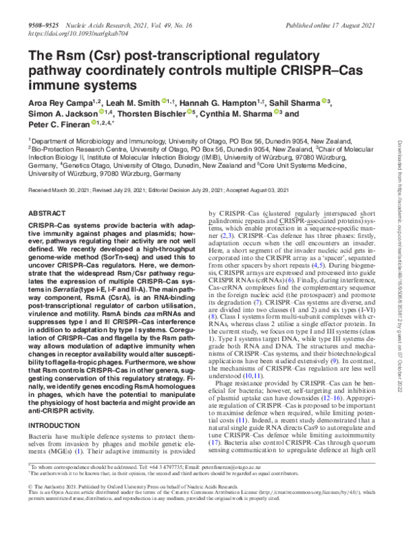 (PDF) The Rsm (Csr) post-transcriptional regulatory pathway ...