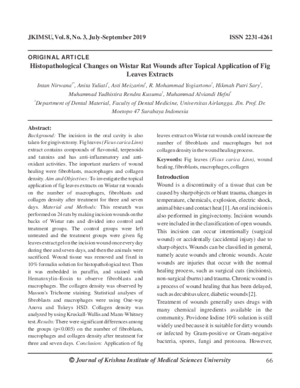 (PDF) Histopathological Changes on Wistar Rat Wounds after Topical ...