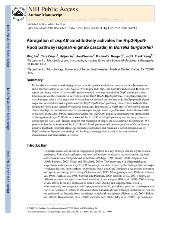 (PDF) Abrogation of ospAB constitutively activates the Rrp2-RpoN-RpoS ...