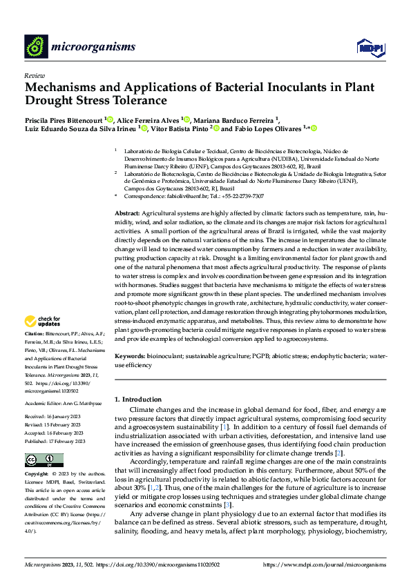 (PDF) Bacterial Inoculants Enhance Plant Drought Tolerance