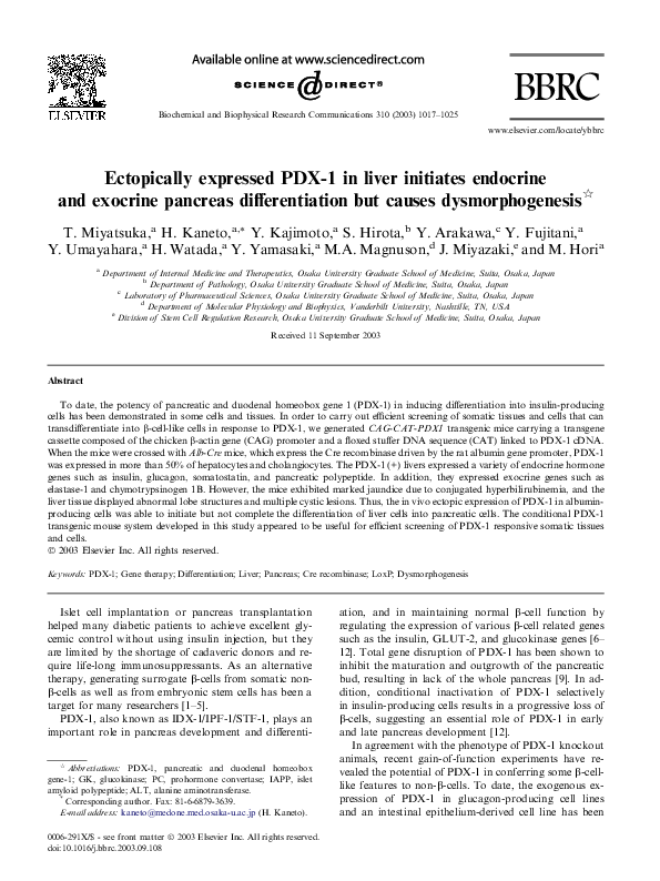 (PDF) Ectopically expressed PDX-1 in liver initiates endocrine and ...