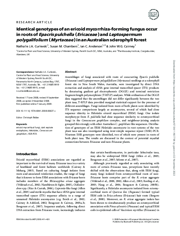 (PDF) Identical genotypes of an ericoid mycorrhiza-forming fungus occur ...