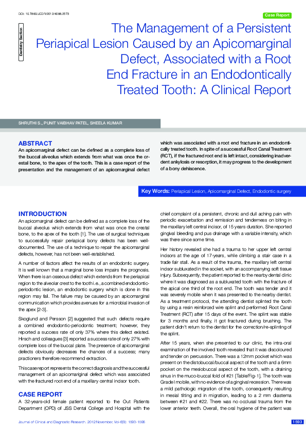 (PDF) The management of a persistent periapical lesion caused by an ...