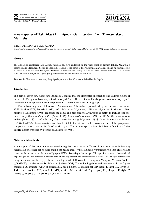 (PDF) A new species of Talitridae (Amphipoda: Gammaridea) from Tioman ...