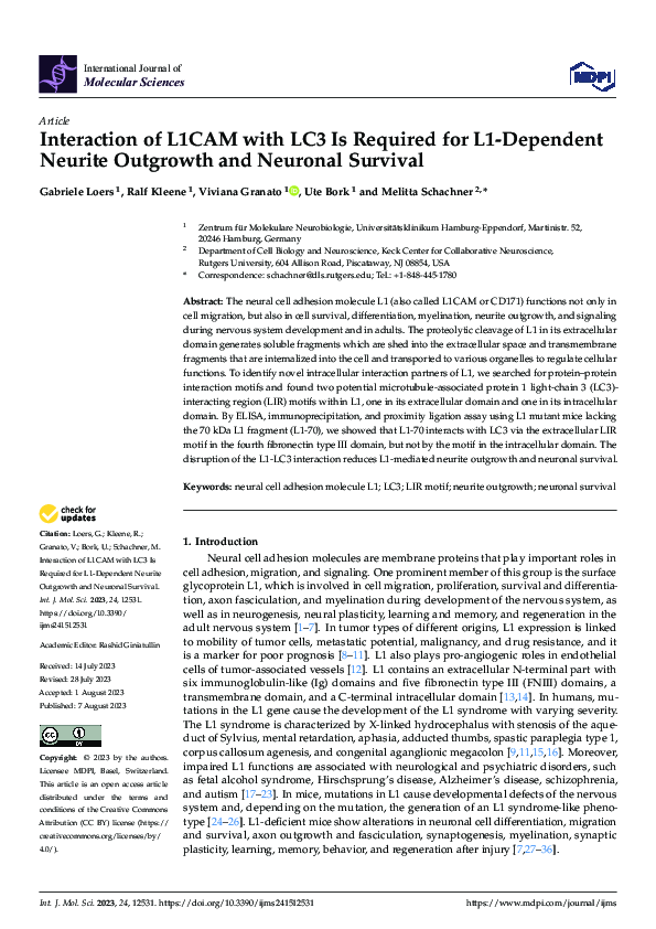 (PDF) Interaction of L1CAM with LC3 Is Required for L1-Dependent ...
