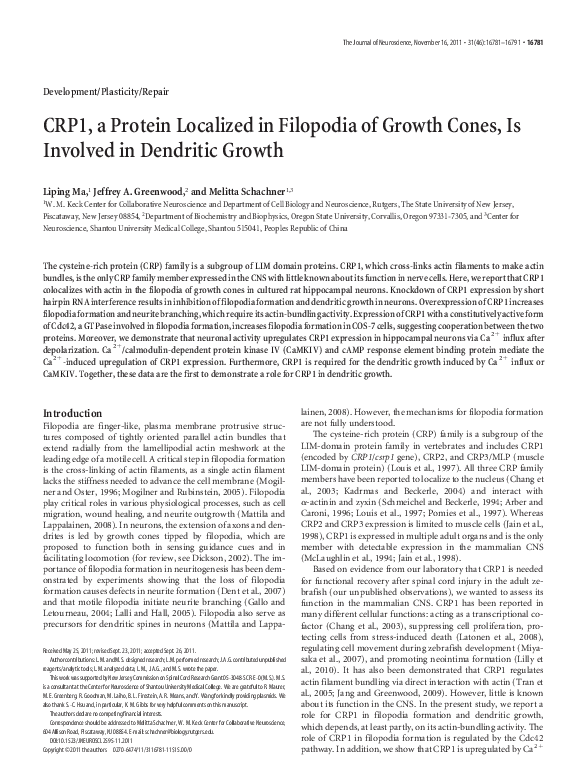 (PDF) CRP1, a Protein Localized in Filopodia of Growth Cones, Is ...