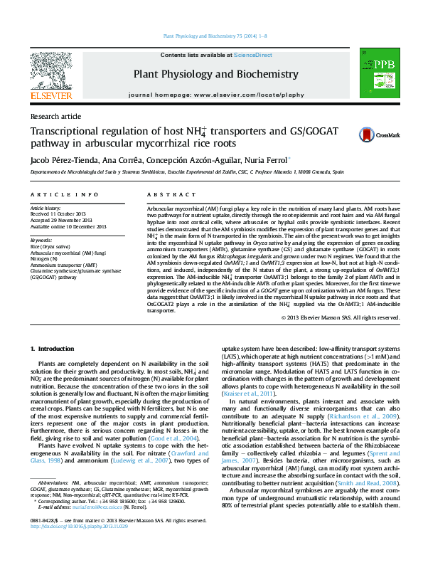 (PDF) Transcriptional regulation of host transporters and GS/GOGAT ...