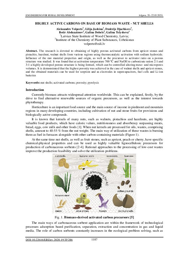 (PDF) Highly active carbons on base of biomass waste - nut shells