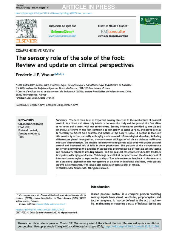 (PDF) The sensory role of the sole of the foot: Review and update on ...
