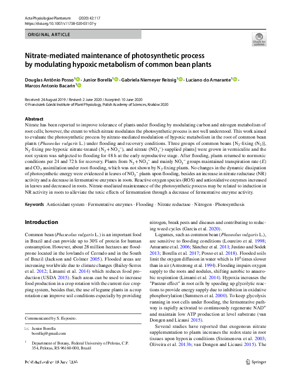 (PDF) Nitrate-mediated maintenance of photosynthetic process by ...