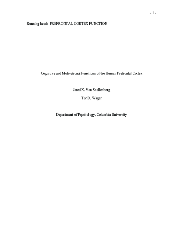 (PDF) Cognitive and Motivational Functions of the Human Prefrontal ...