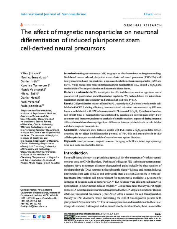 (PDF) The effect of magnetic nanoparticles on neuronal differentiation ...