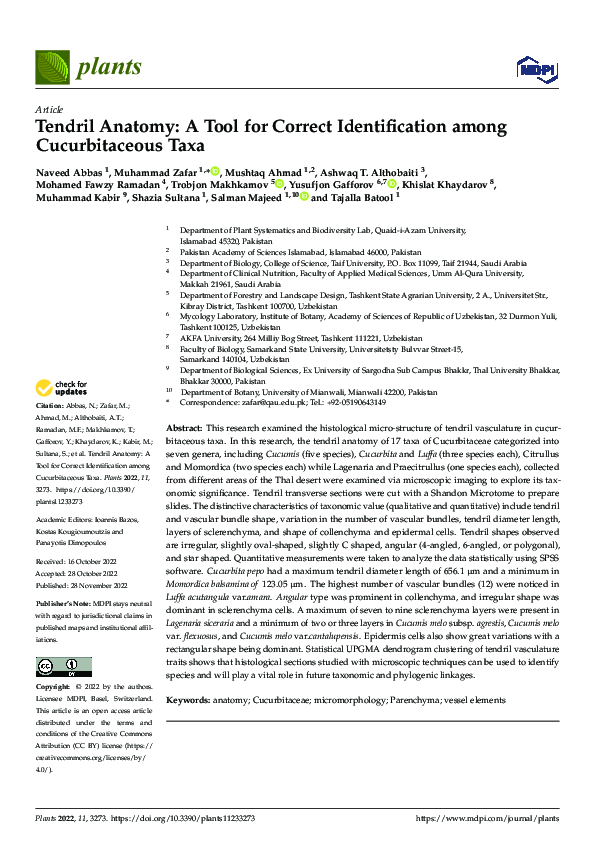 (PDF) Tendril Anatomy: A Tool for Correct Identification among Cucurbitaceous Taxa