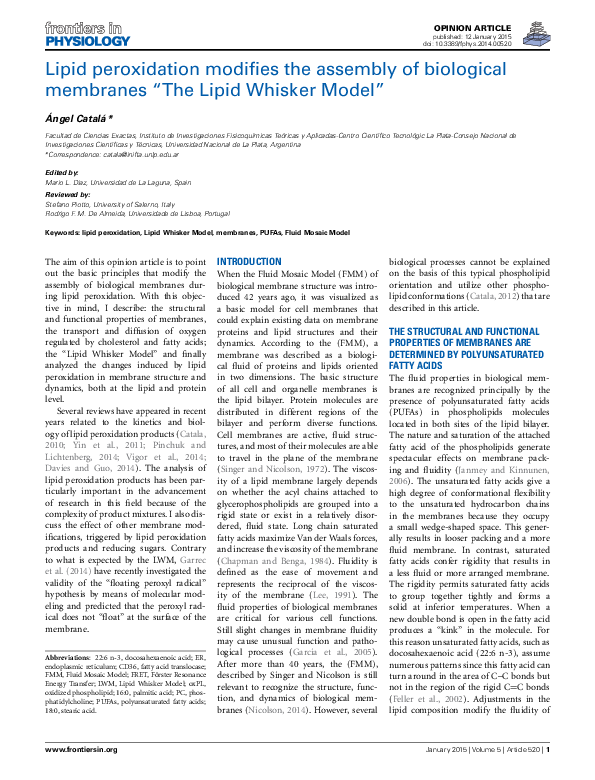 (PDF) Lipid peroxidation modifies the assembly of biological membranes ...