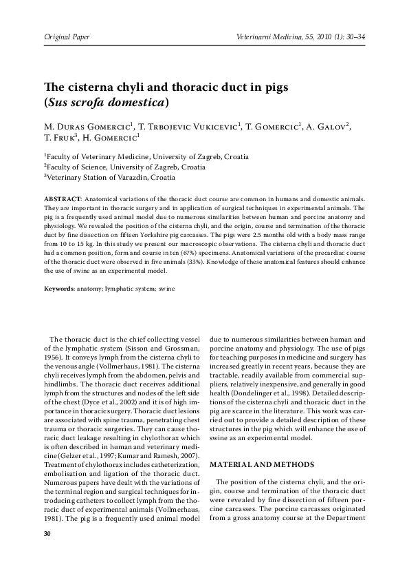 (PDF) The cisterna chyli and thoracic duct in pigs (Sus scrofa domestica)