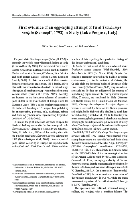 (PDF) First evidence of an egg-laying attempt of feral trachemys ...