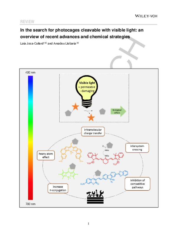 (PDF) In the Search for Photocages Cleavable with Visible Light: An ...