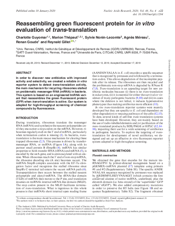 (PDF) Reassembling green fluorescent protein for in vitro evaluation of ...