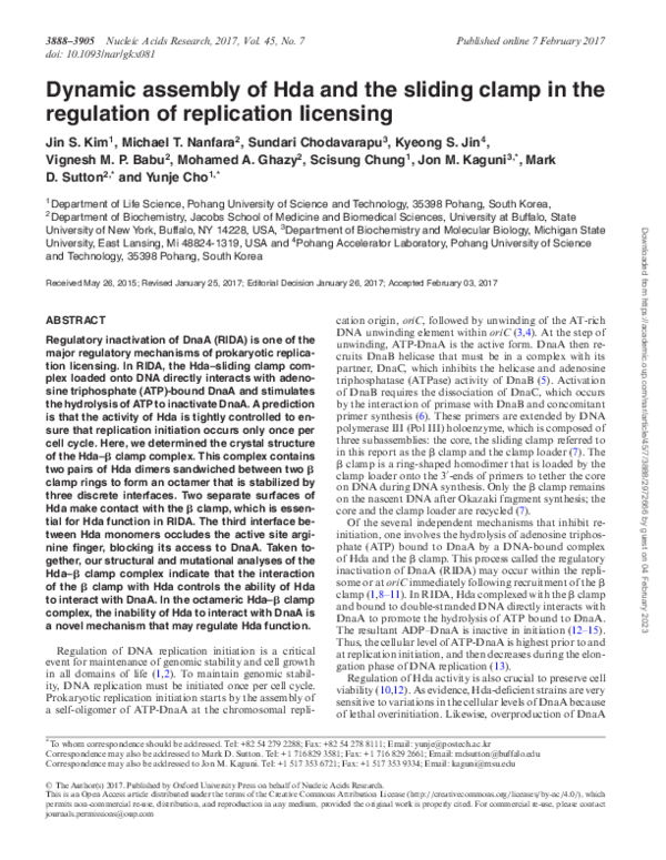 (PDF) Dynamic assembly of Hda and the sliding clamp in the regulation ...
