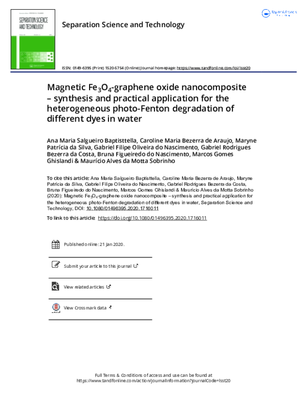 (PDF) Magnetic Fe3O4-graphene oxide nanocomposite – synthesis and ...