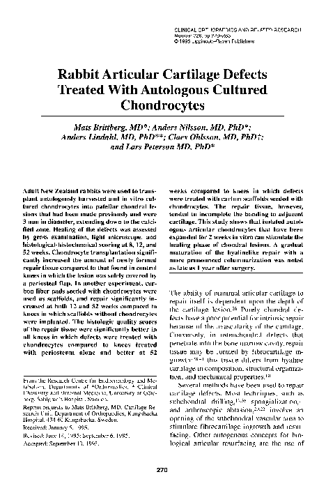 (PDF) Rabbit Articular Cartilage Defects Treated With Autologous ...