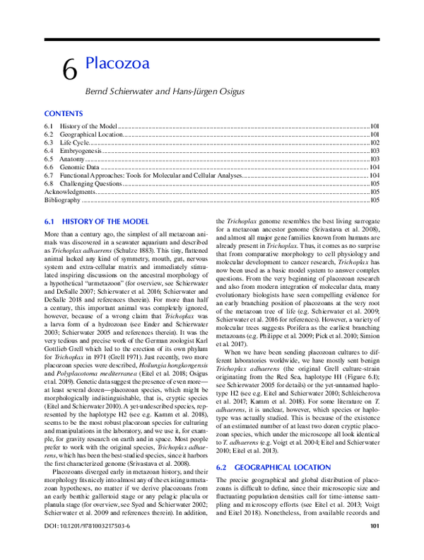 (PDF) Placozoa