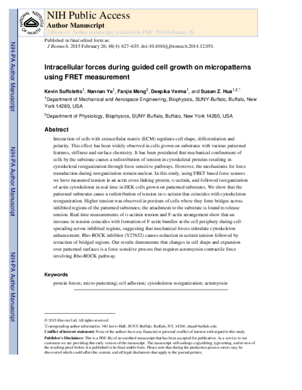 (PDF) Intracellular forces during guided cell growth on micropatterns ...