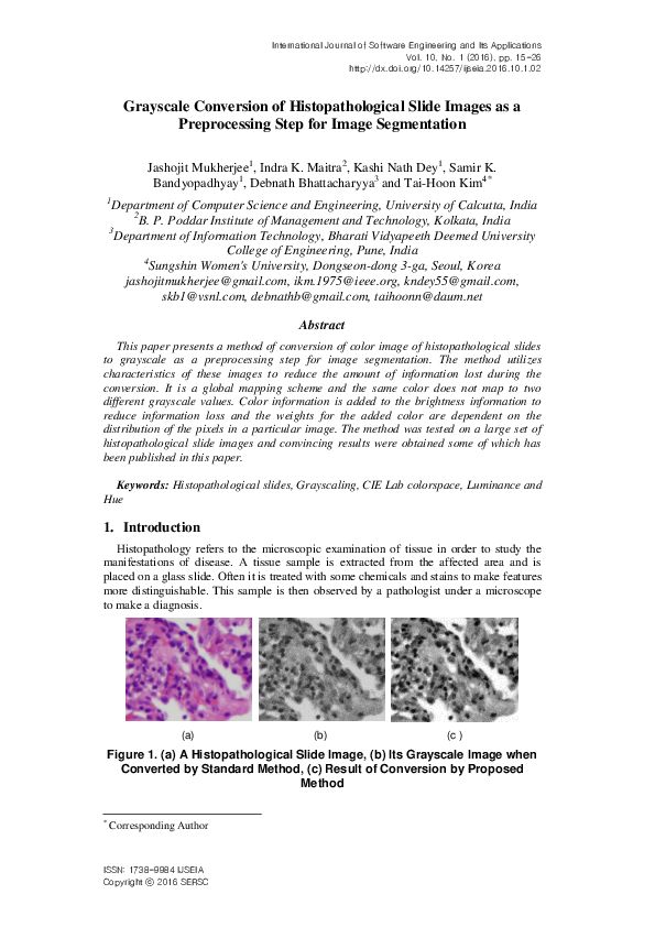 (PDF) Grayscale Conversion of Histopathological Slide Images as a ...