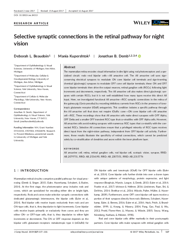 (PDF) Selective synaptic connections in the retinal pathway for night ...