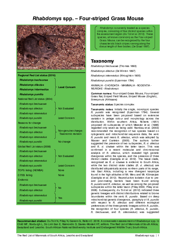 (PDF) Rhabdomys spp . – Four-striped Grass Mouse | Duncan Macfadyen ...