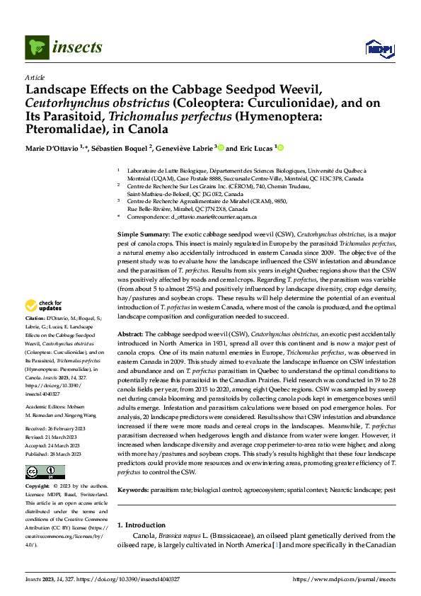(PDF) Landscape Effects on the Cabbage Seedpod Weevil, Ceutorhynchus ...