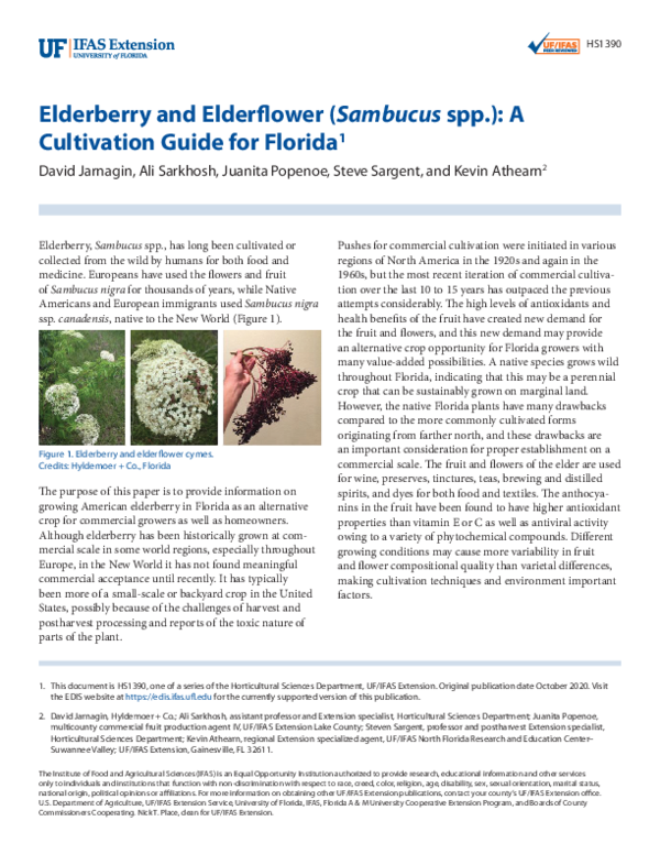 (PDF) Elderberry and Elderflower (Sambucus spp.): A Cultivation Guide ...